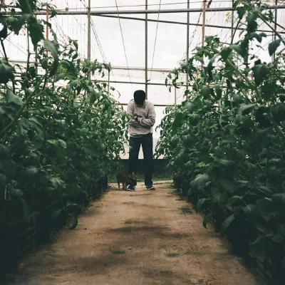 Android 14 AlarmManager SCHEDULE_EXACT_ALARM 權限閃退 | Code with DH